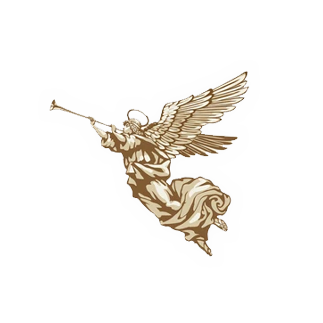 DAILY ANGEL LOVE MESSAGE SET BOUNDARIES - COSMIC LOVE TAROT